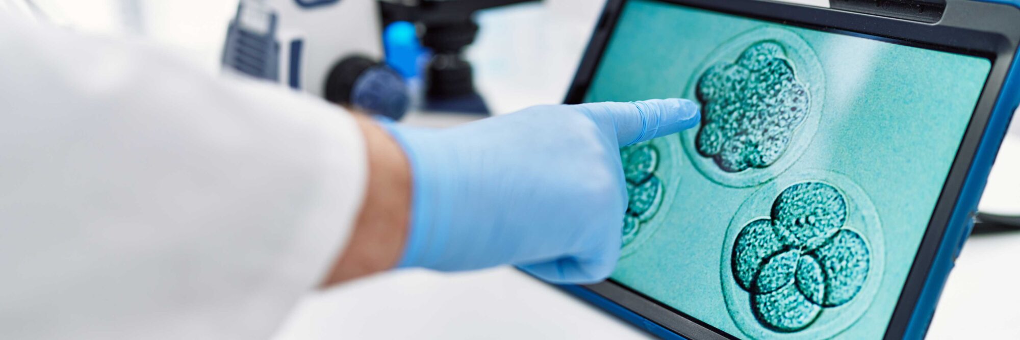 Time-Lapse Embryo Incubator | Ember Fertility | Irvine CA